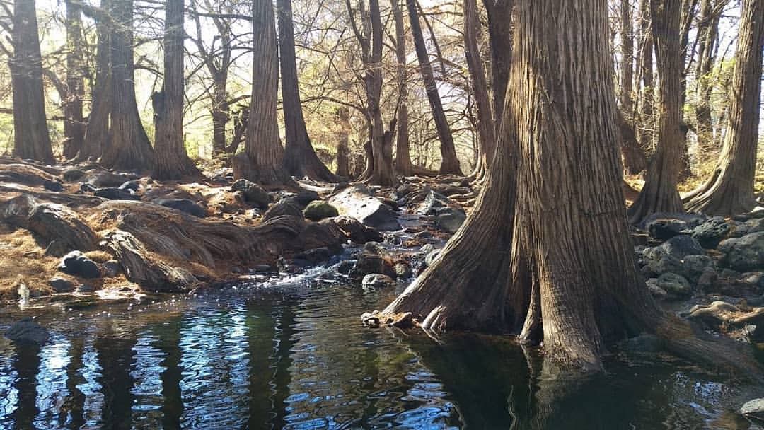 Municipio Manuel Doblado